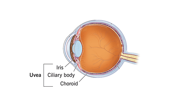 Best Eye Hospital